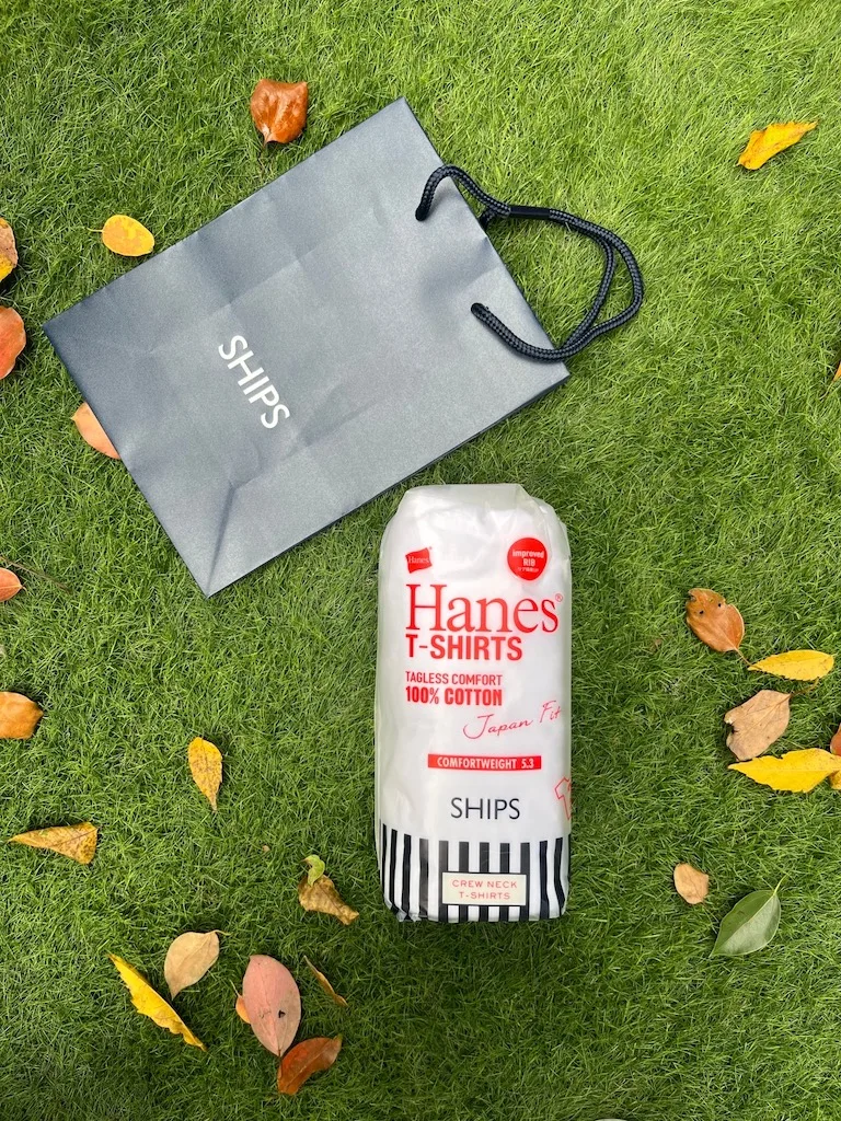徹底レビュー『Hanes×SHIPS』 JAPAN FIT Tシャツは買い - manekineko.Blog
